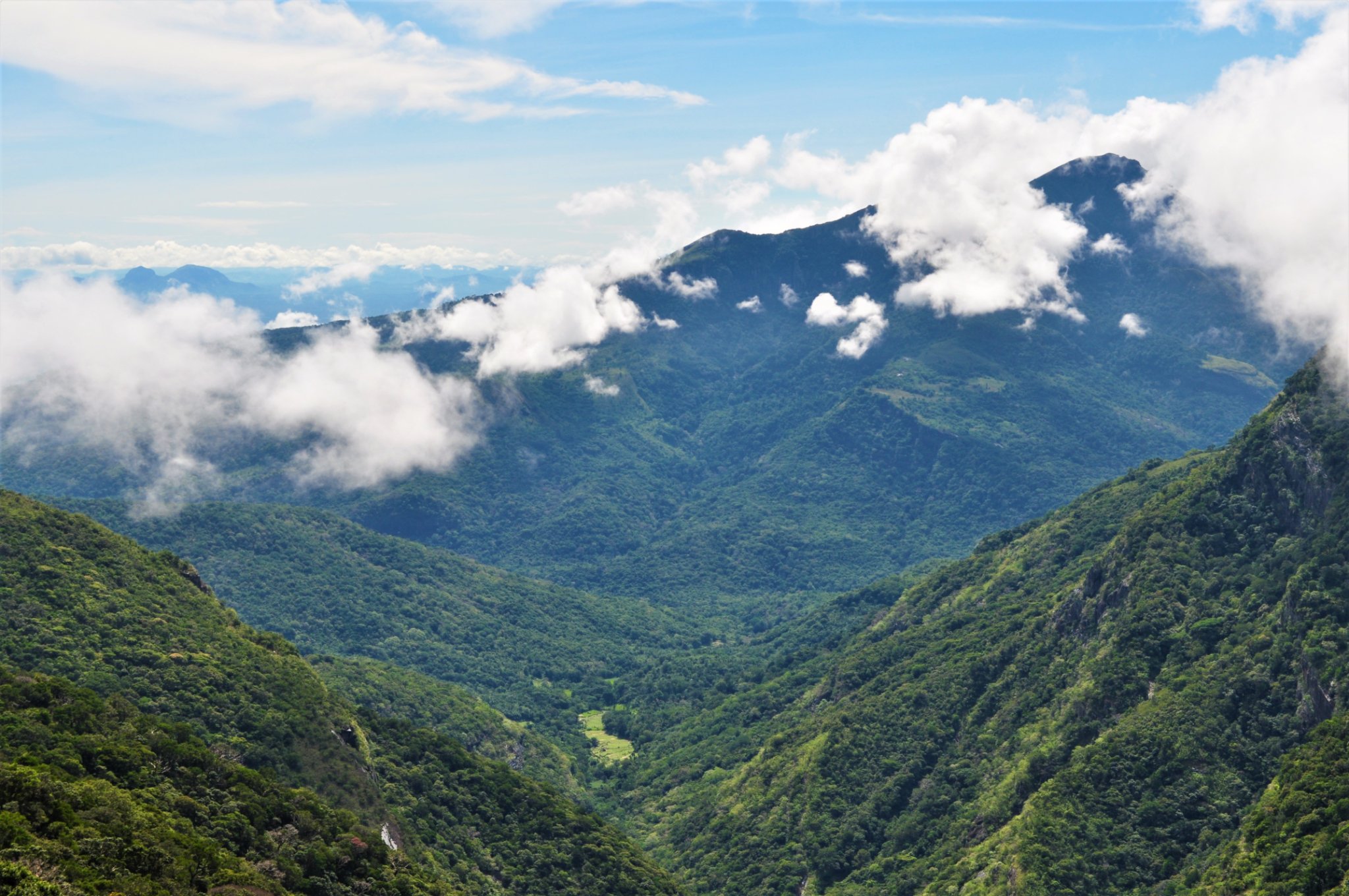 KNUCKLES - Sri Lanka Base Camp